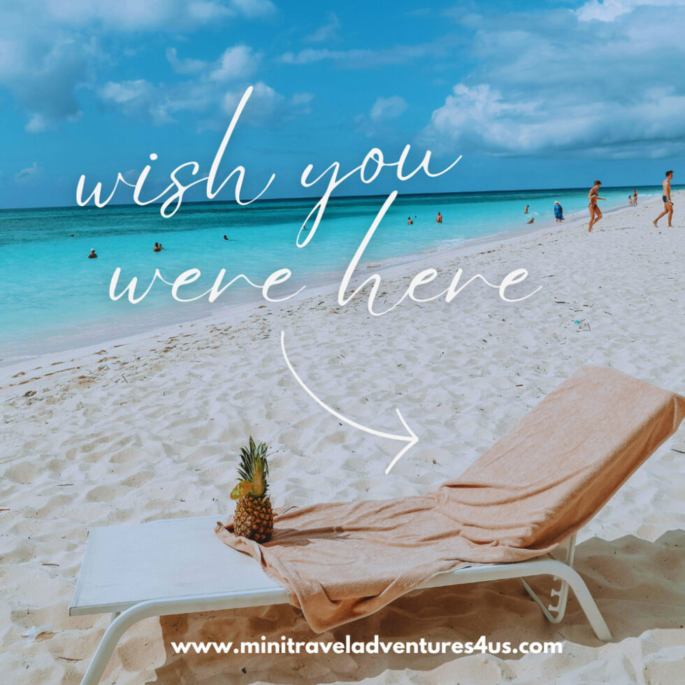 Tips For Booking Excursions - Mini Travel Adventures 4 Us